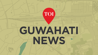 No meat, fish sale in Dibrugarh today | Guwahati News - The Times of India