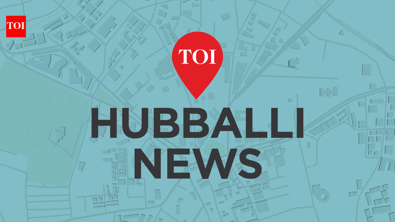 No funds withdrawn from Tungabhadra crest gate works, clarifies min ...