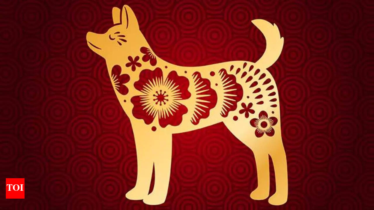 Chinese Zodiac Sign Dog - Infoupdate.org