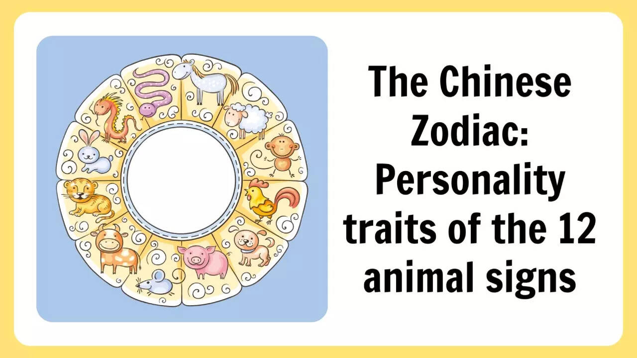 Chinese zodiac tiger personality traits 60 photos - Astrologytoyou.com