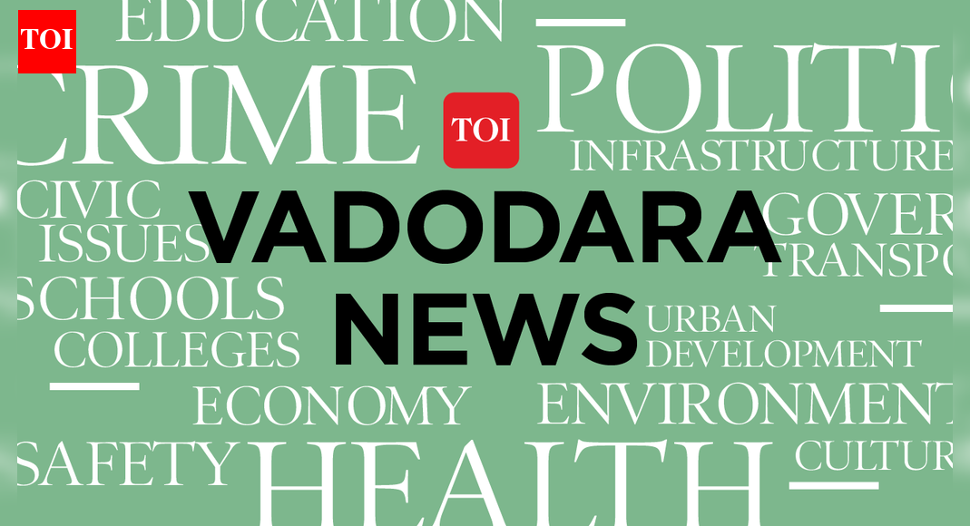 VMC plans temporary panel to implement street vending rules | Vadodara ...