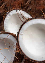 Antaheen Movie Review {3/5}: Critic Review of Antaheen by Times of India