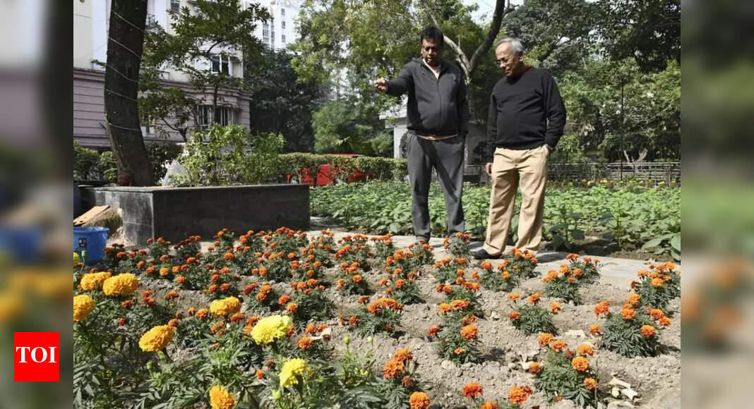 High-rise complexes balance infra with eco-consciousness | Kolkata News - The Times of India