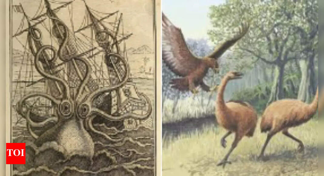 6 mythical creatures inspired by real animals | - The Times of India