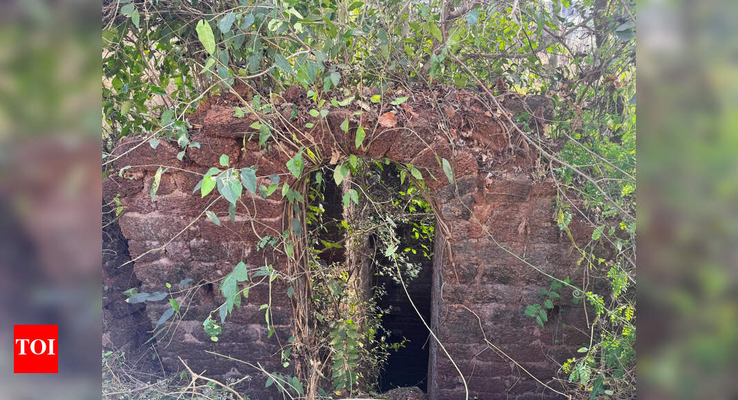 Tivrem-Orgao panchayat seeks heritage tag for well | Goa News - The ...