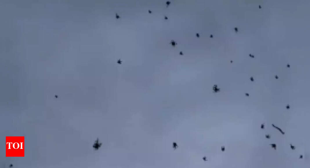 Hundreds of spiders descend from the sky, and the reason is wilder than ...