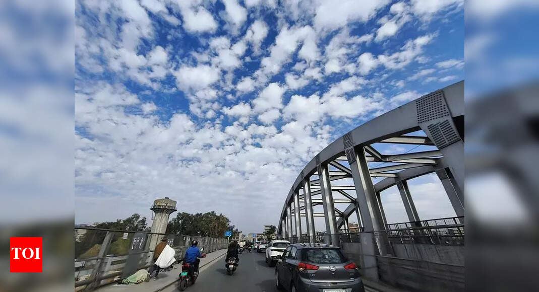 Unusually warm Jan stokes climate change concerns in city | Ludhiana ...