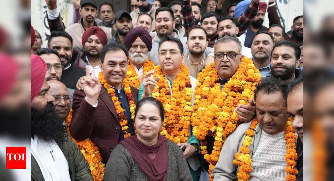 AAP has its mayor in Phagwara, Cong alleges poll process manipulated ...