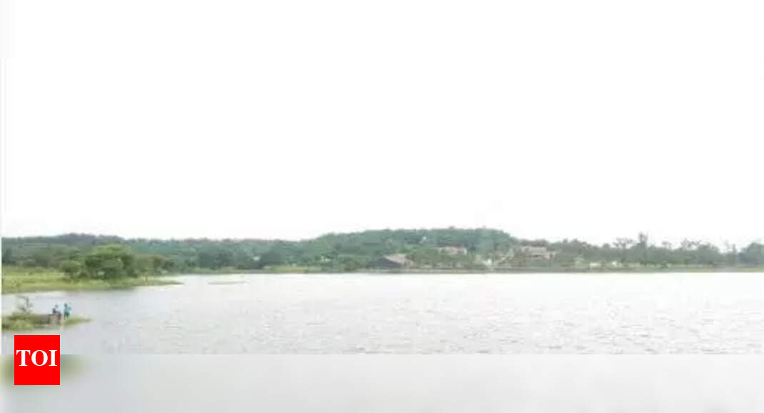 HC demands report on misuse of land near Surabardi lake | Nagpur News ...