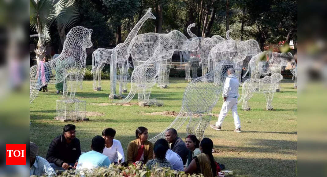 Open gym & topiary garden in two city parks soon: DFO | Patna News ...