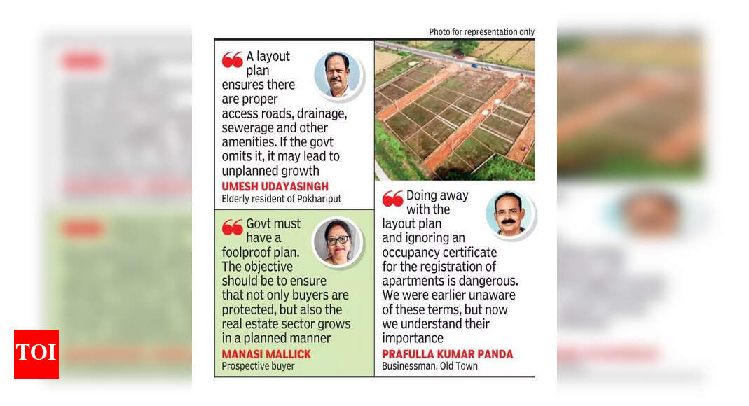 Experts Raise Concerns Over Govt s Plan To Eliminate Layout Plan