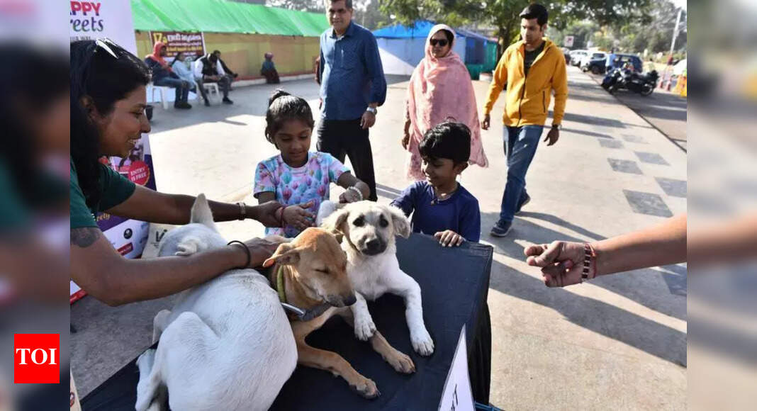 Yoga To Peppy Zumba Beats, Happy Feet And Faces Throng Hussainsagar | Hyderabad News - The Times ...