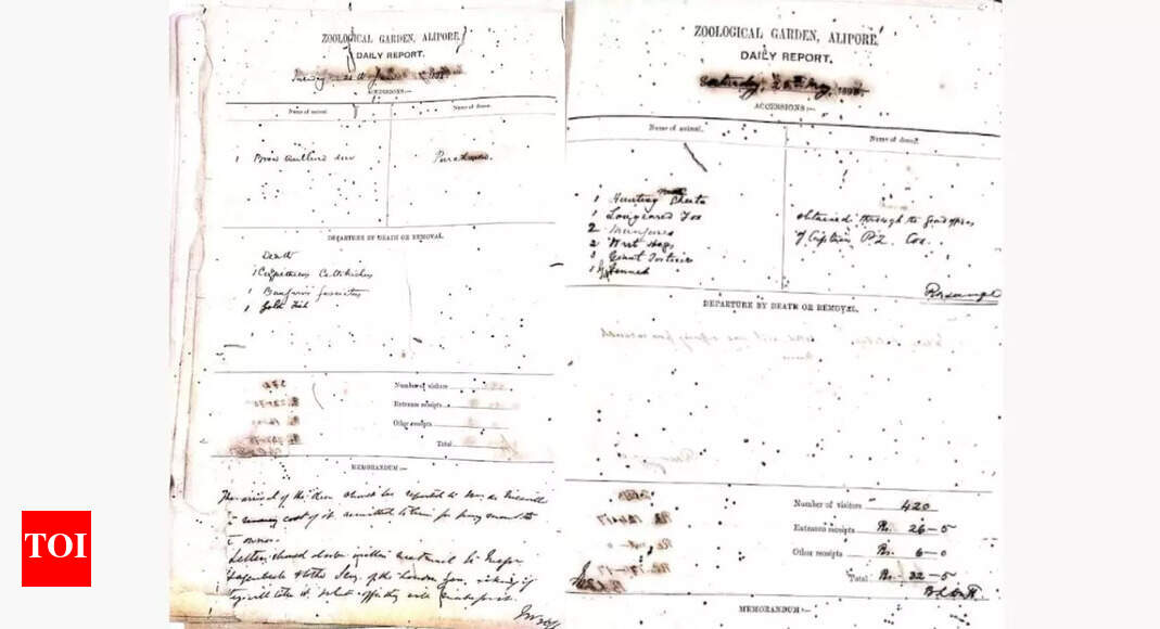 India oldest zoo gets 150-year-old documents, hand-written records in ...