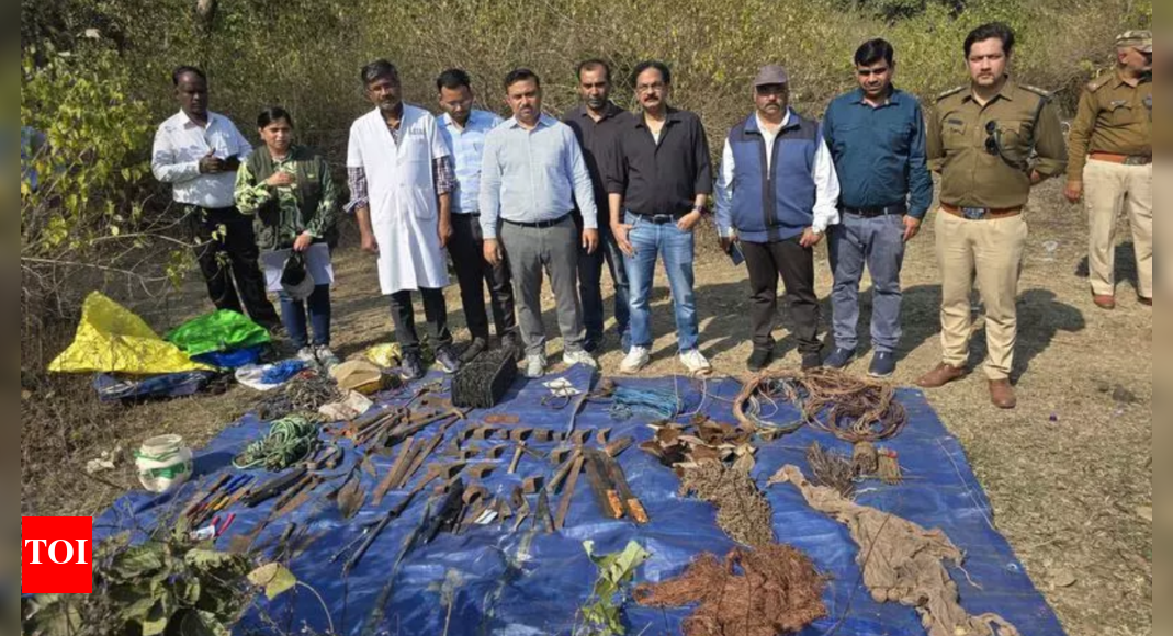 Madhya Pradesh Leopard Death: Leopard found dead in Madhya Pradesh's ...