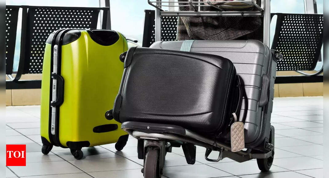 Best Hard Trolley Bag Combos Under 5000 For A Budget-Friendly ...