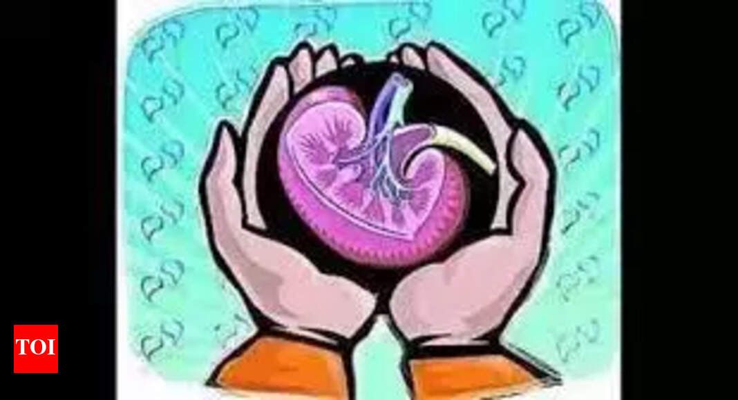 Teen saves 5 lives by donating organs after tragic accident | Raipur ...