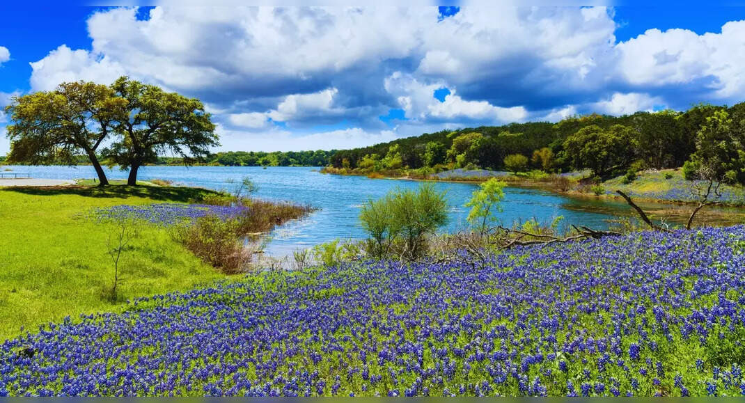 10 most beautiful spring destinations in the US | Times of India Travel