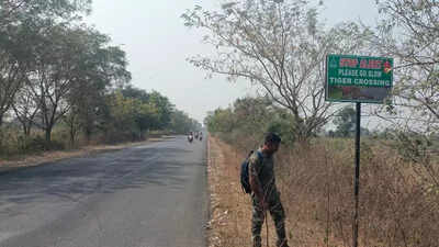 Samudrapur-Girad route declared ‘Tiger Corridor’ to stop human-wildlife ...