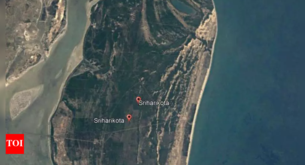 Bruna vieira atriz porno