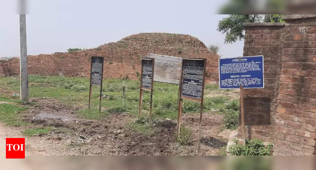 Balirajgarh likely to be developed as tourist spot | Patna News - The ...
