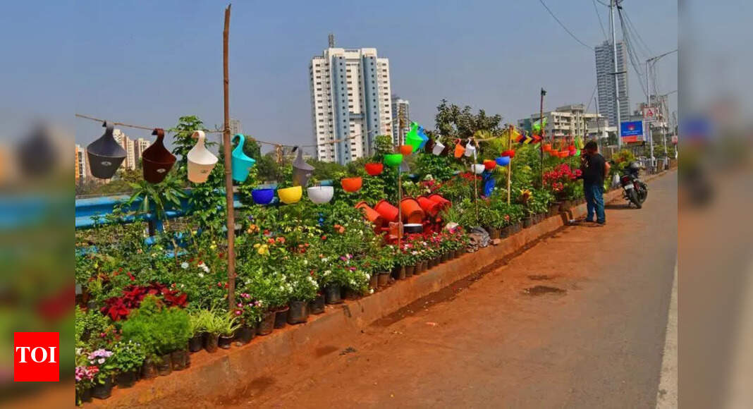 Freed of slums, Wadala bridge is now home to plant vendors | Mumbai ...
