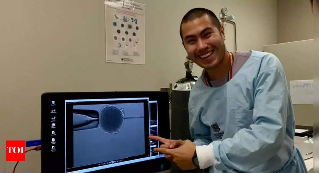 First kangaroo embryo created through IVF experiment; what does this ...