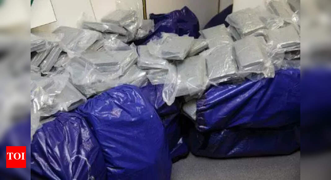 200cr drugs seized in Navi Mumbai, 4 held | Mumbai News - The Times of ...