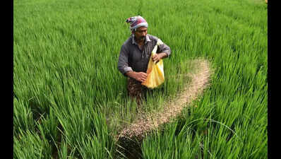 Kerala budget 2025: New scheme to make state horticulture hub | Kochi ...