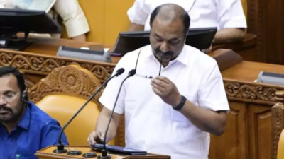 Kerala Budget 2025: Growth vision meets reality check | Kochi News ...