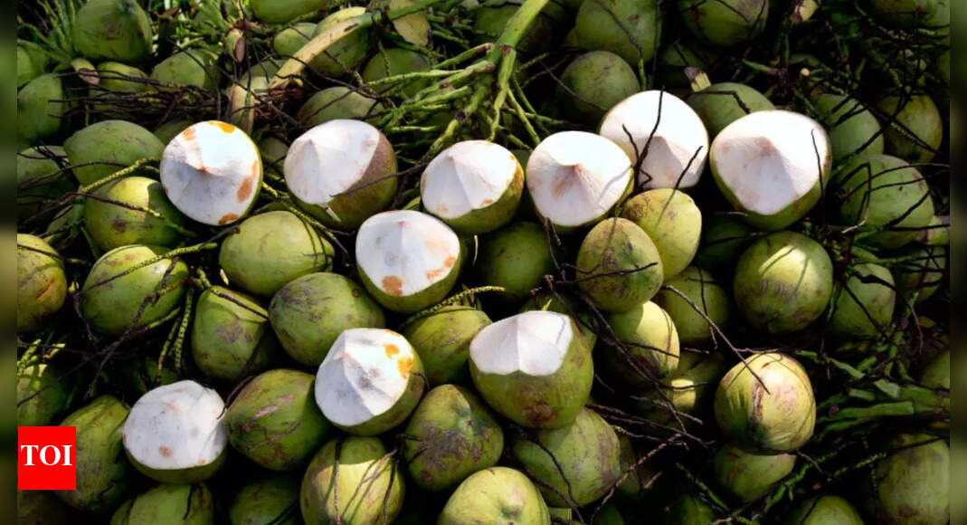 Coconut vendor's advice to a woman in Mumbai's rush is priceless - The ...