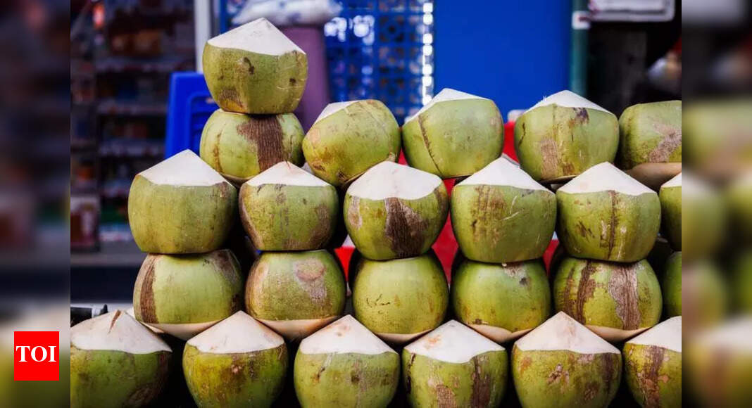 AP accounts for 8% of India’s coconut produce | Vijayawada News - The ...