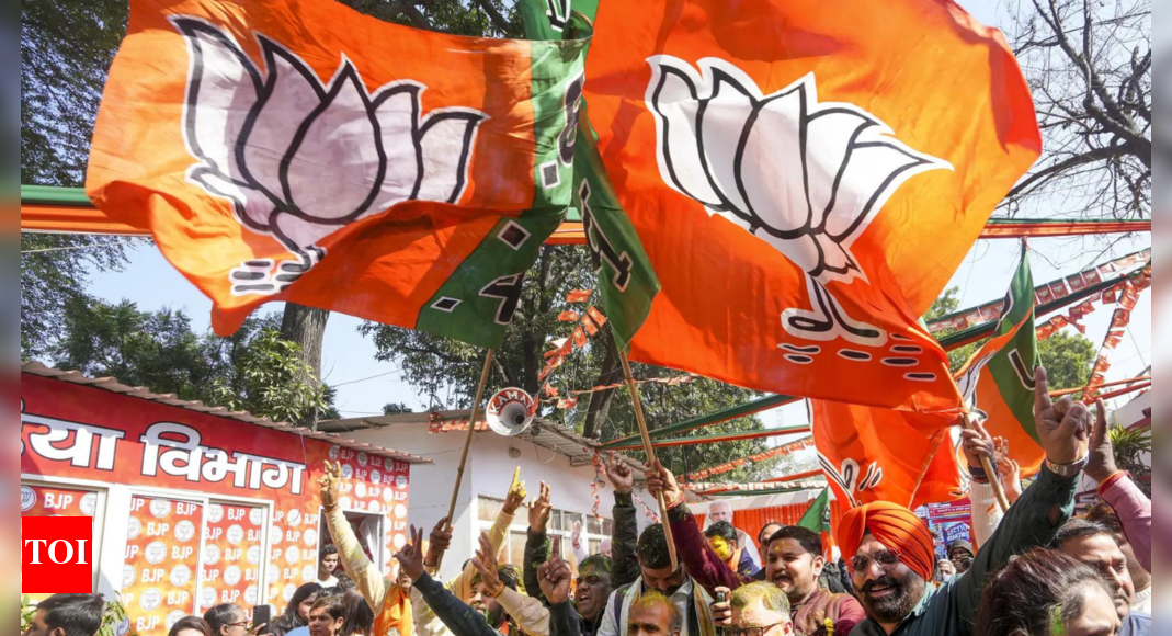 Delhi elections: Shikha Roy surprise winner in Greater Kailash seat no ...
