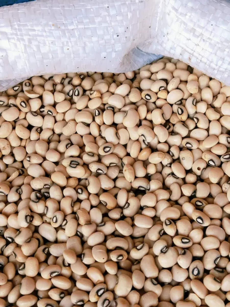 High protein lobia: 10 ways to add high-protein lobia to daily lunch ...