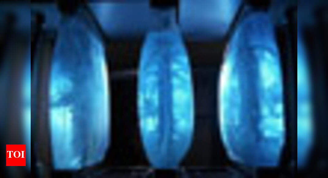 Software: World’s first biological computer developed - Times of India