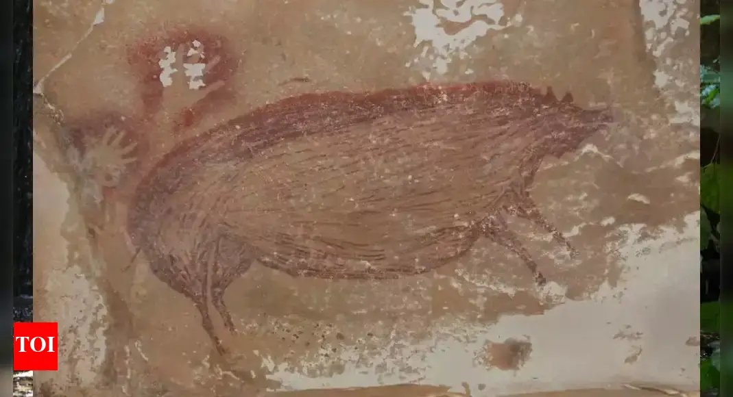 Where is the oldest painting in the world The answer might be a shock The Times of India