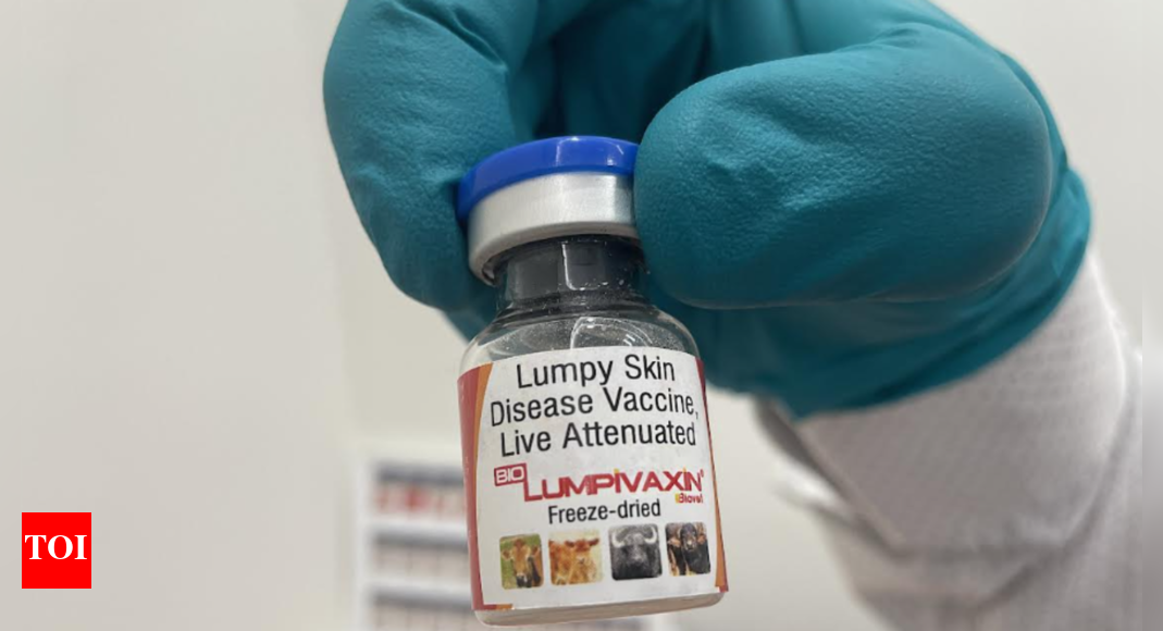 Bharat Biotech’s biovet secures CDSCO approval for lumpy skin disease ...