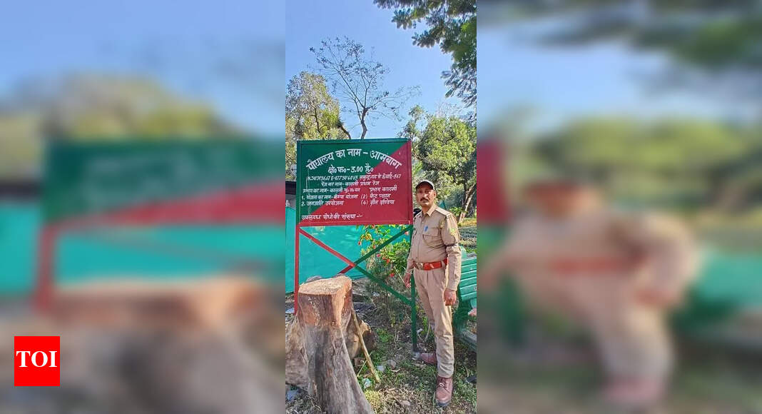 2,800 forest staff stage protests demanding employment benefits ...