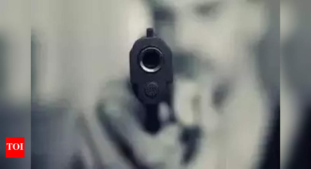 1 dead, murder convict on parole injured in Nanded firing | Chandigarh ...