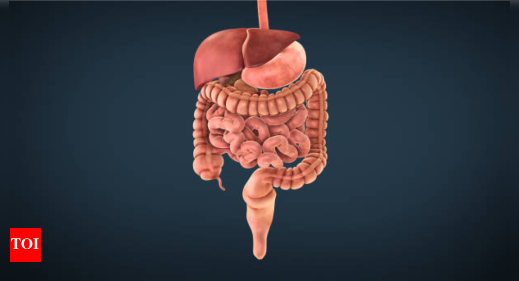Is the appendix useless? Modern studies challenge long-standing belief ...