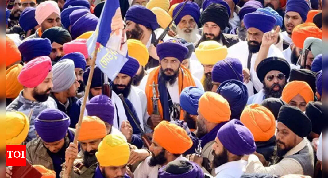 GPC report on dismissed jathedar Giani Harpreet Sing also cites ...
