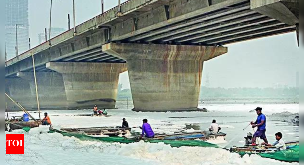 Orders to protect Yamuna not yet implemented in Delhi: NGT | Delhi News ...