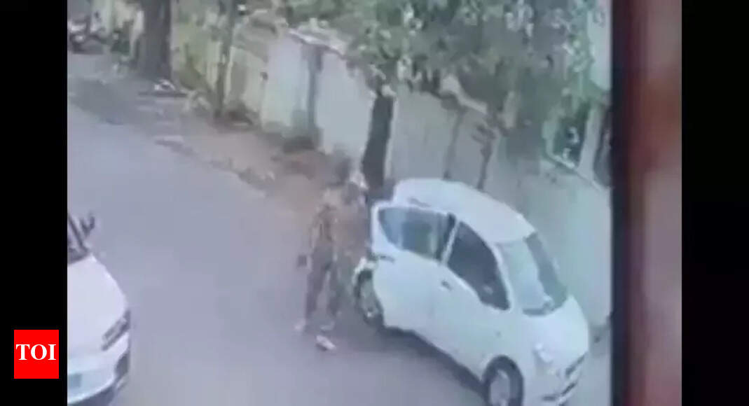 Chhattisgarh Robbery: How a 41 year-old woman orchestrate Rs 65 lakh ...