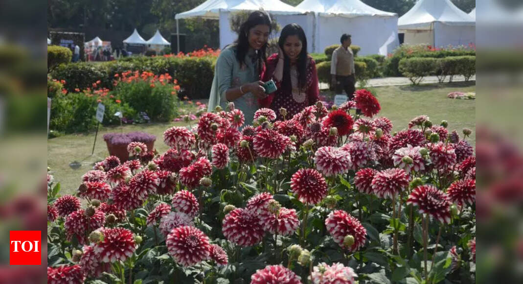 Sangam colours at 4-day flower show in Noida | Noida News - The Times ...