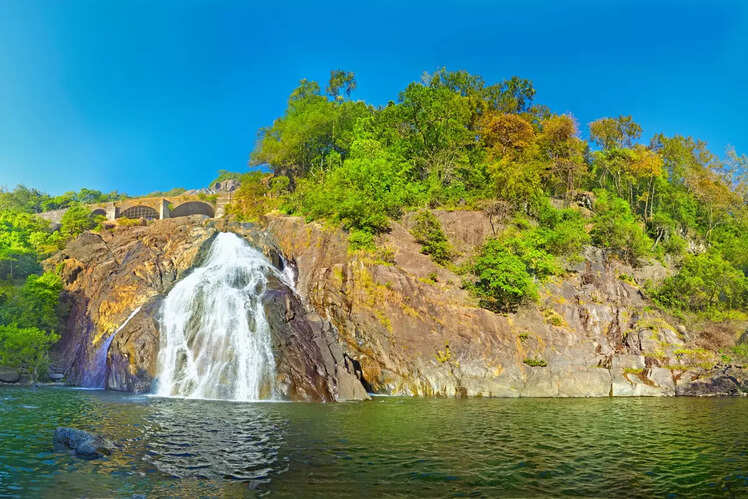 From safari to trekking: 8 best wildlife experiences in the Western ...