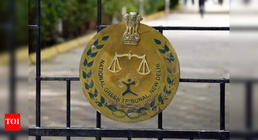 Intach contests Ggn claims on Najafgarh Jheel | Delhi News - The Times ...