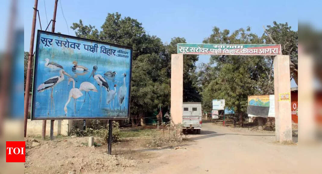 NGT summons UP forest official, Agra DM over ‘delay’ in notifying govt ...