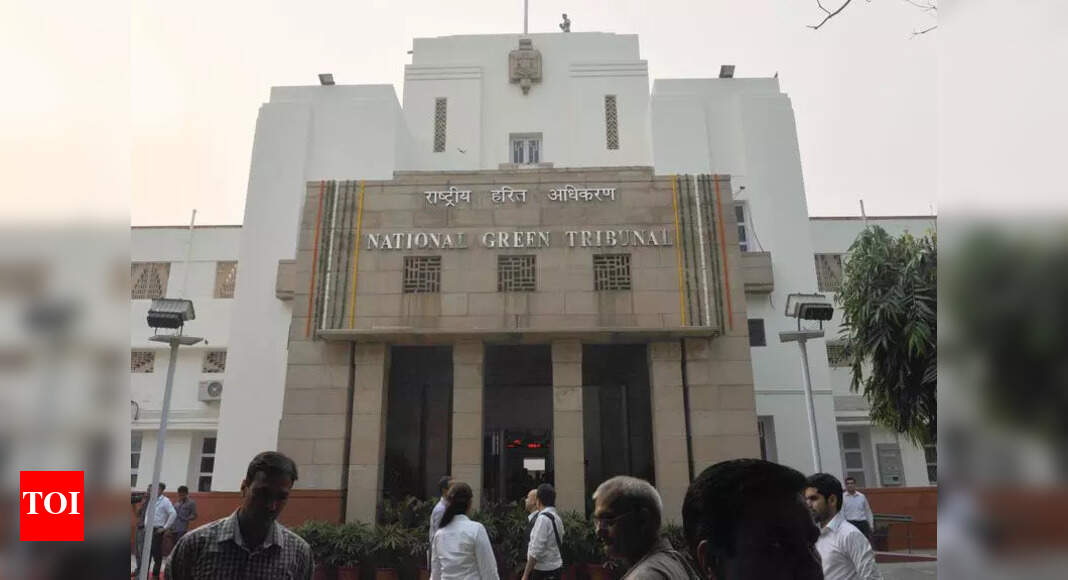 NGT seeks action report over illegal felling of 348 trees in Almora for ...