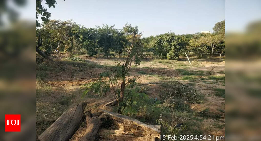 JDA removes garbage dumped inside Central Park | Jaipur News - The ...