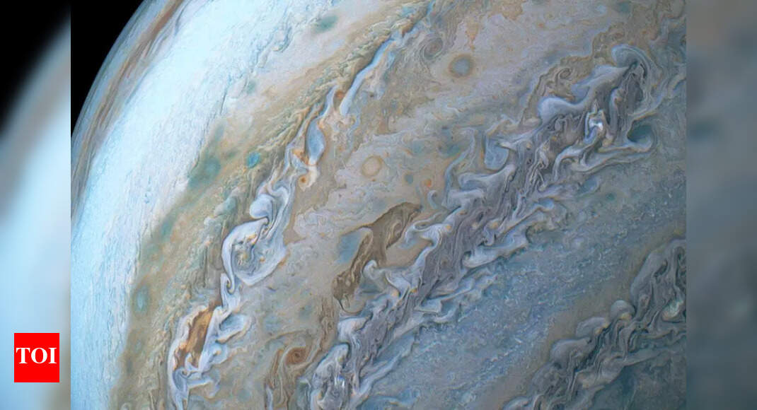 What! Are there dolphins on Jupiter? NASA's Juno Probe captures similar ...
