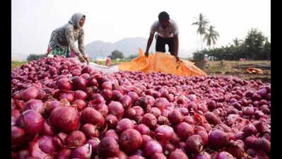 Average wholesale price of onions drops by 400 in a day at Lasalgaon | Nashik News - The Times ...